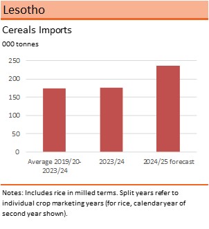 FAO GIEWS Country Brief on Lesotho