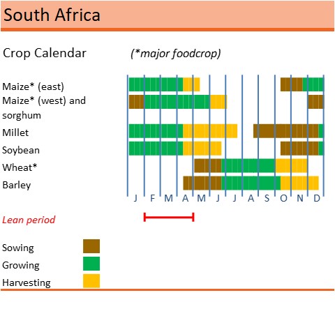 FAO GIEWS Country Brief on South Africa