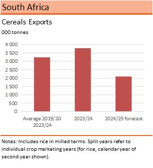 FAO GIEWS Country Brief on South Africa